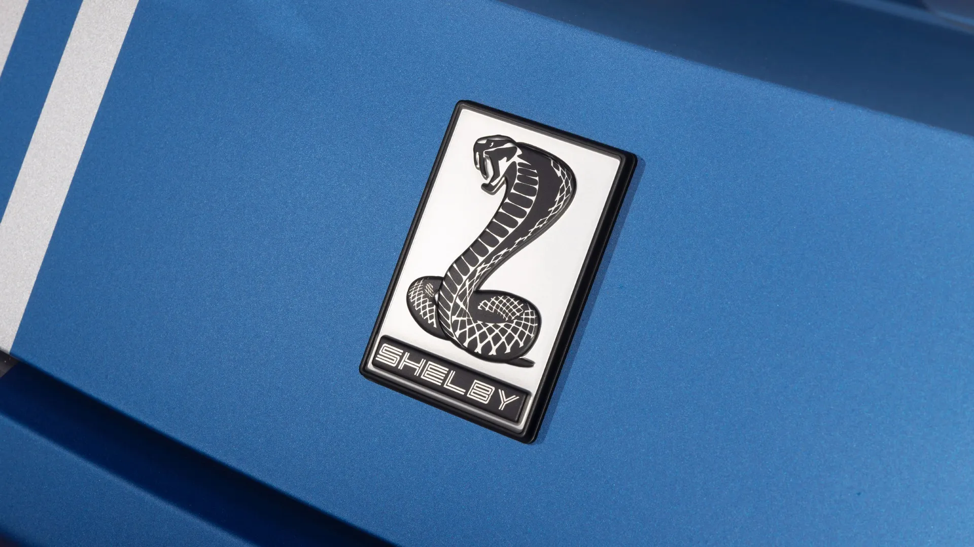 Your Portfolio Needs a Supercharger: Shelby Is Selling 830 Horsepower ...