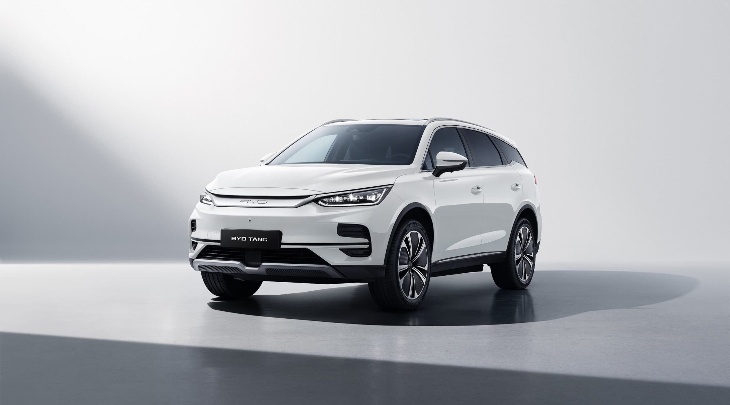 Ford Burned 3.75 Billion USD on EVs—BYD Sold 4.6 Million and Took the ...